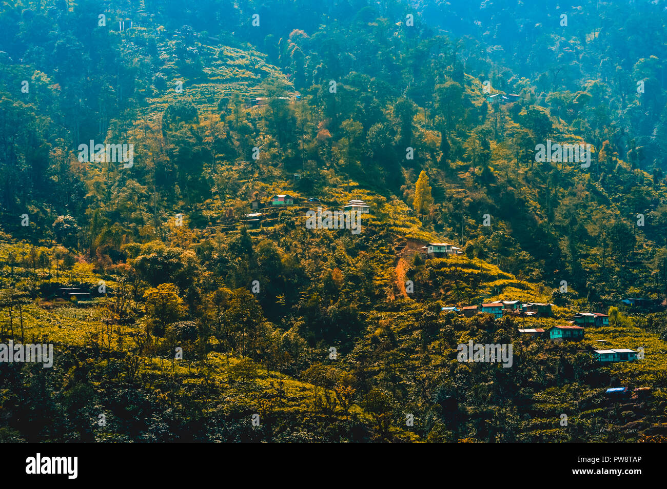 Panorama landscape view of Himalayan Kashmir valley, Himalaya, India ...