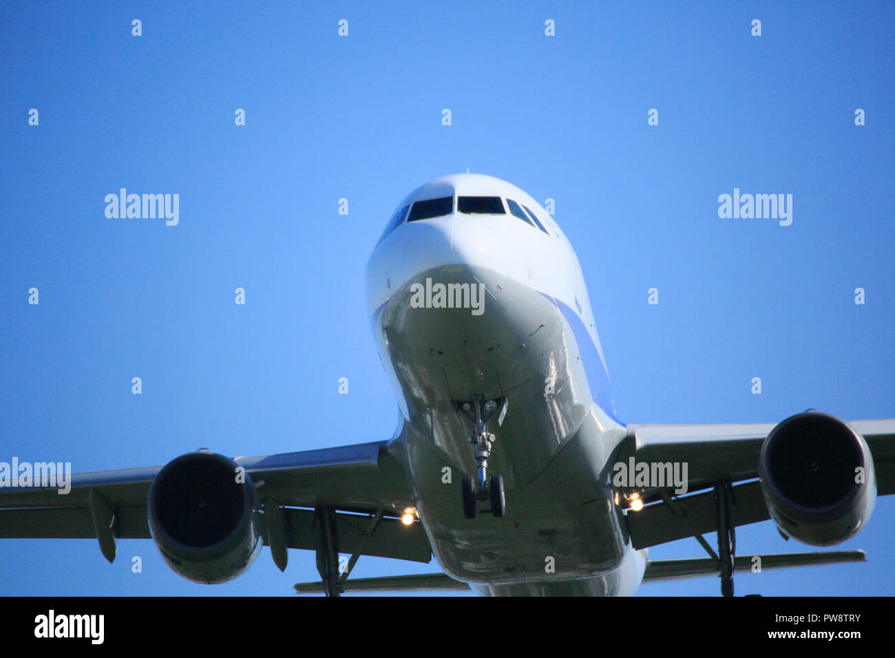 Airplane at Itami Airport Stock Photo - Alamy