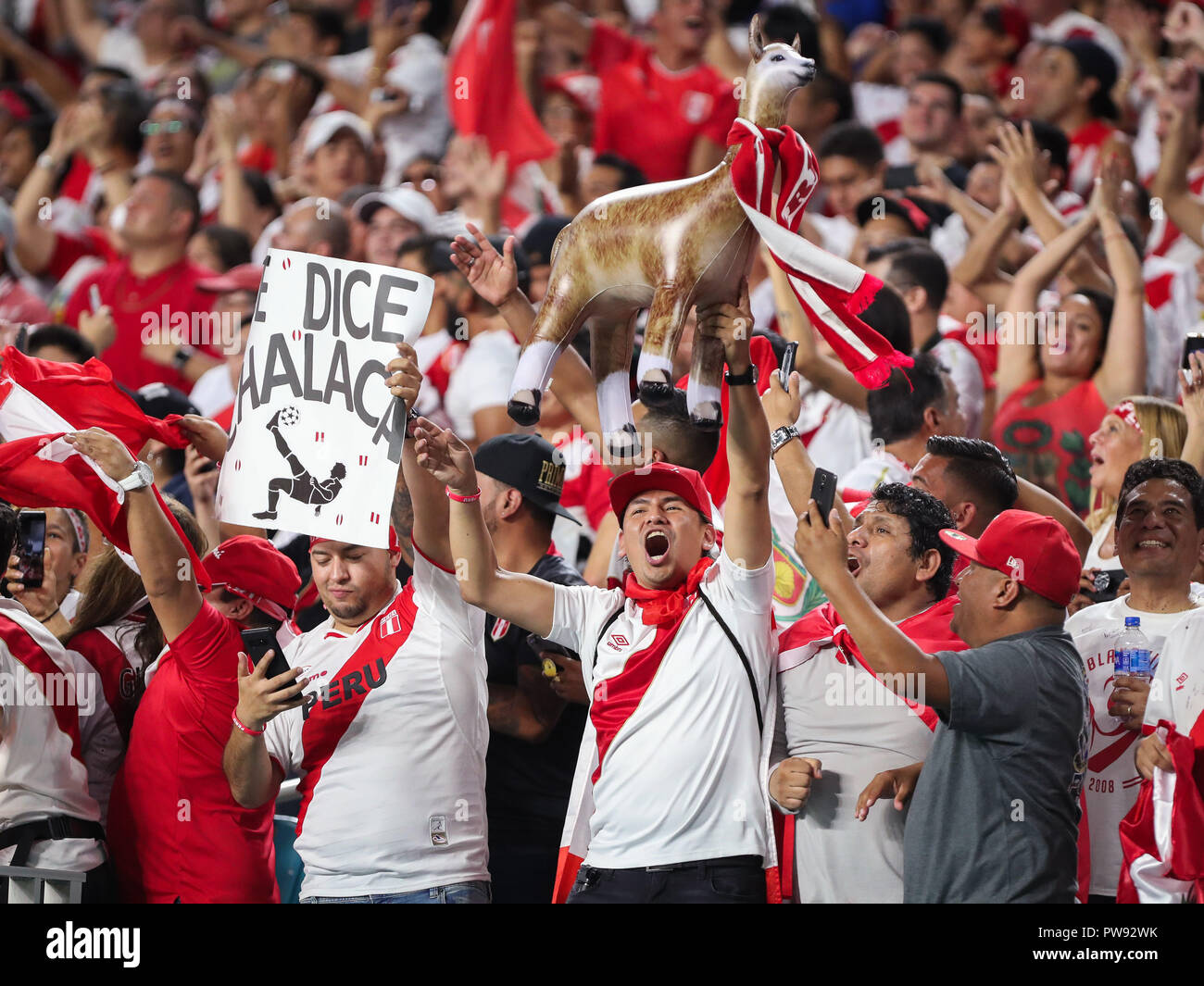 Peru Soccer Fans