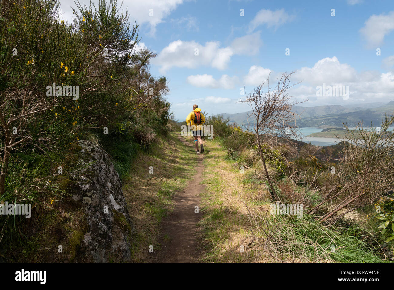 Sport new zealand hi-res stock photography and images - Alamy