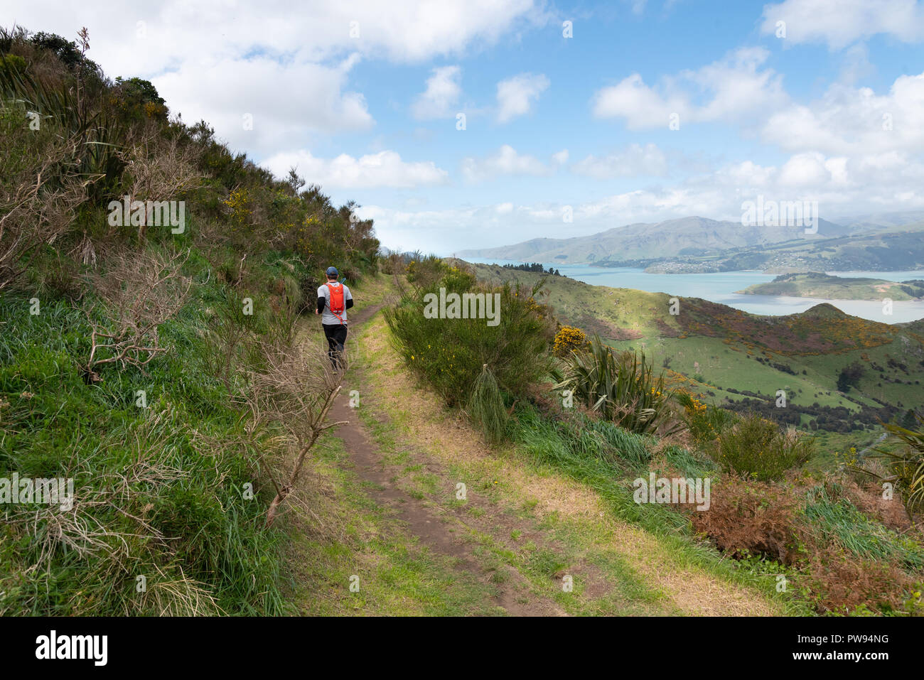 Sport new zealand hi-res stock photography and images - Alamy