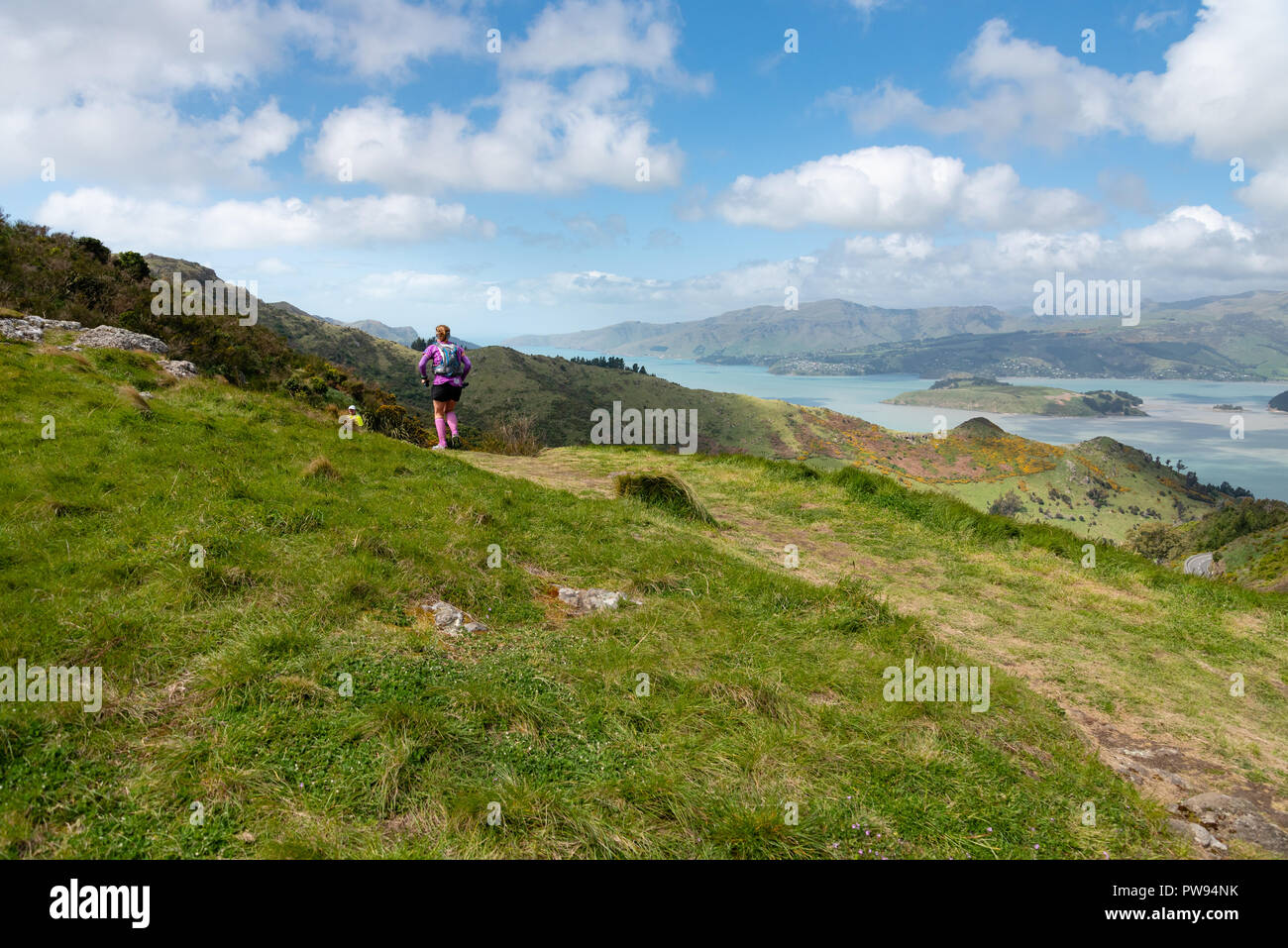 Crater Rim Ultra trail running race at Port Hills, Christchurch, New ...