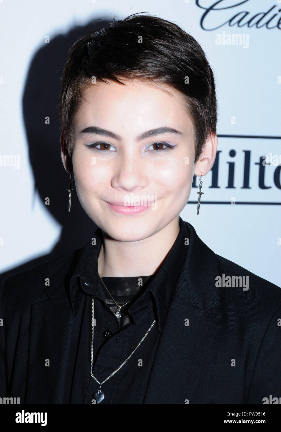 BEVERLY HILLS, CA - OCTOBER 13: Actor Ian Alexander attends Point ...