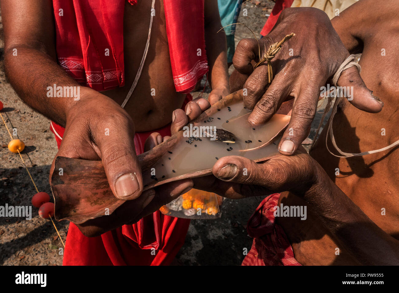Beijing, India. 8th Oct, 2018. Hindu devotees take part in the "Tarpan ...