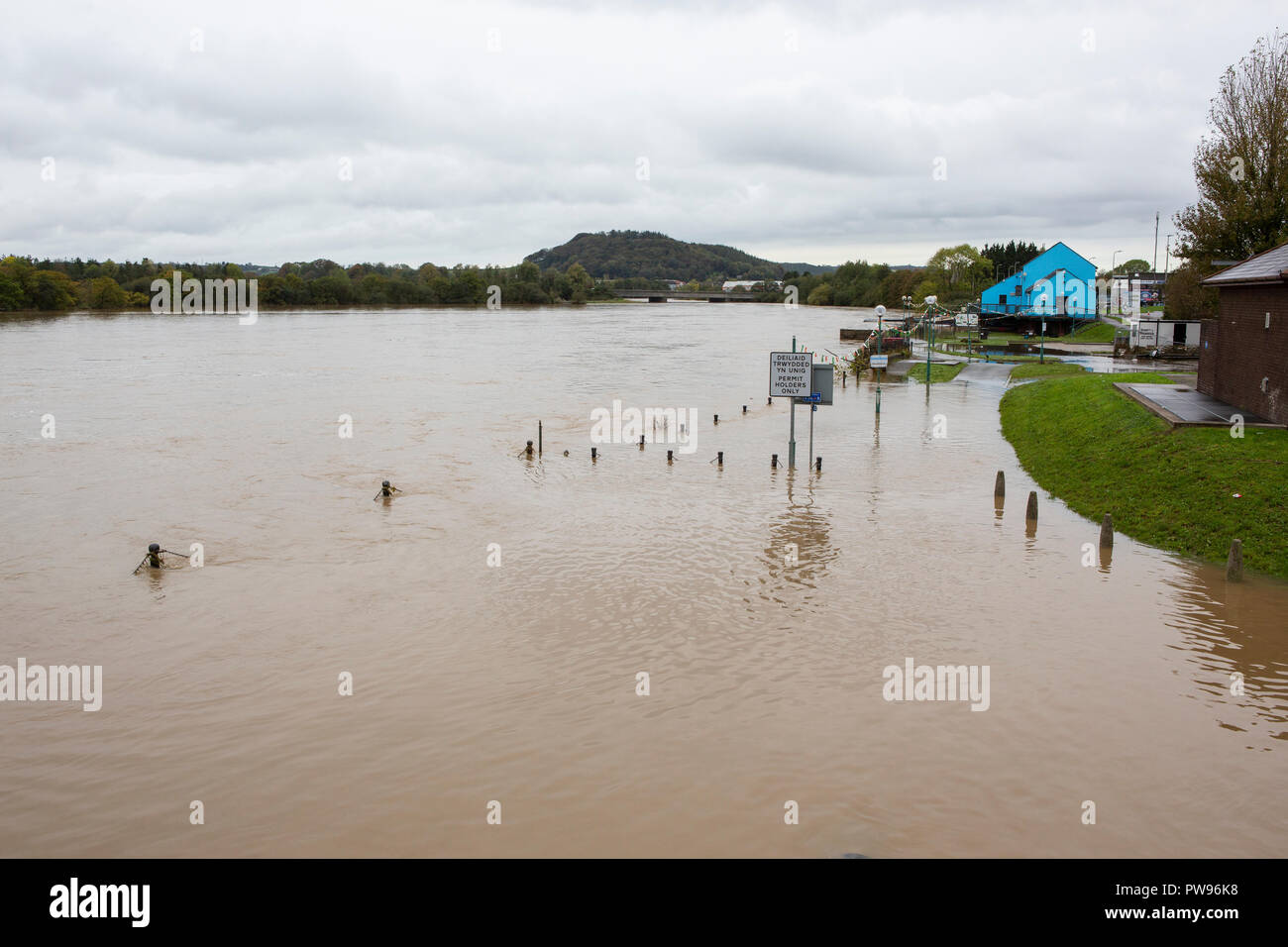 The flooded river Towy Stock Photo - Alamy