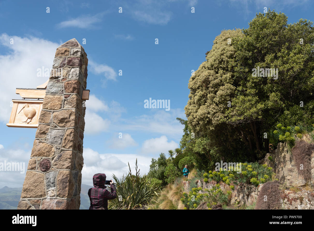 Crater Rim Ultra trail running race at Port Hills, Christchurch, New ...