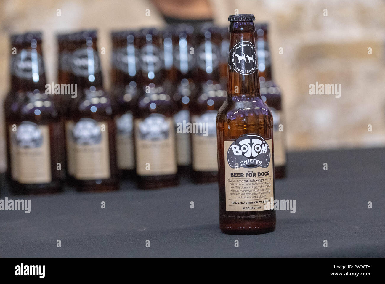 Is It Safe To Give Dogs Beer