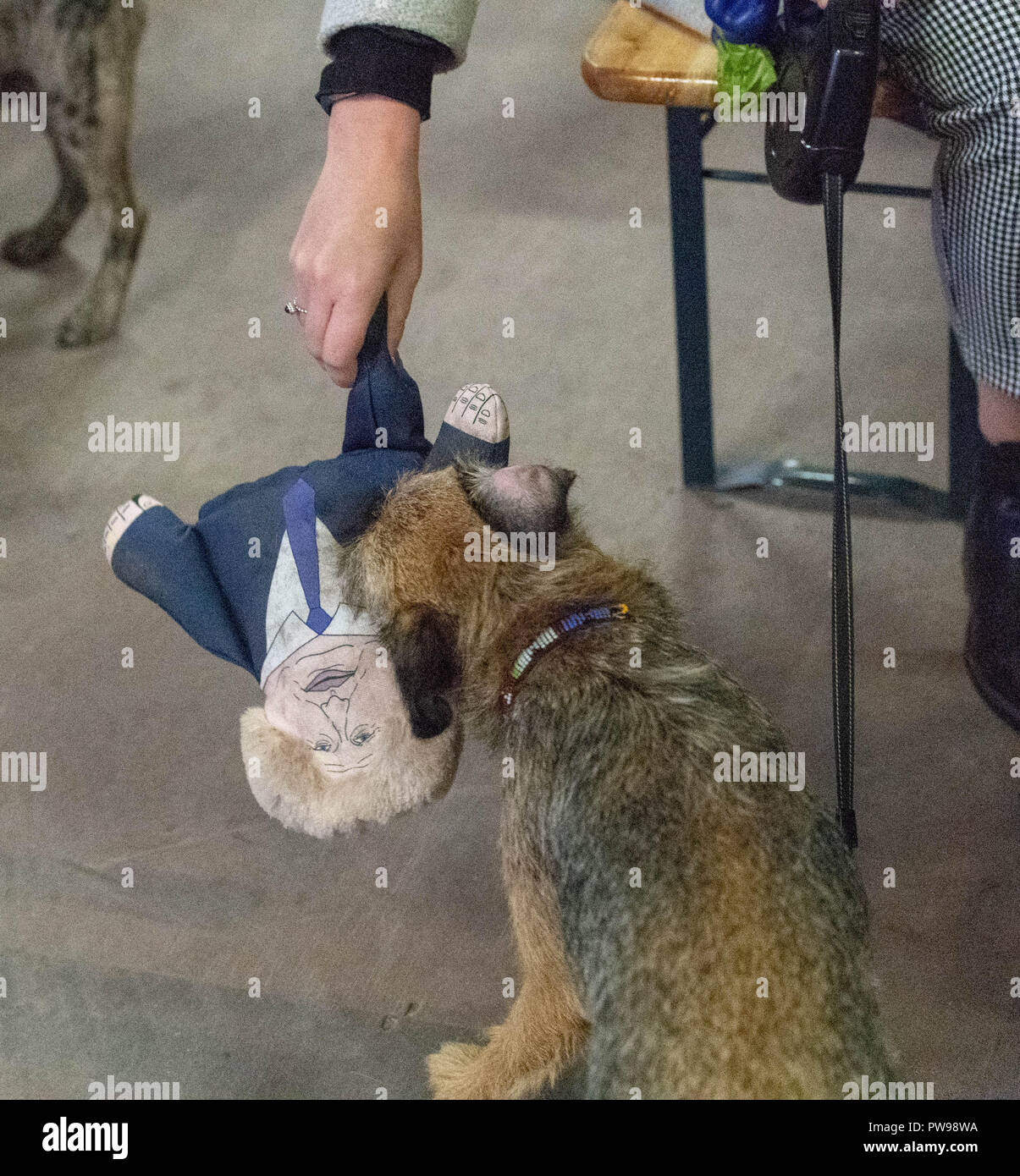 Boris johnson chew toy hi-res stock photography and images - Alamy