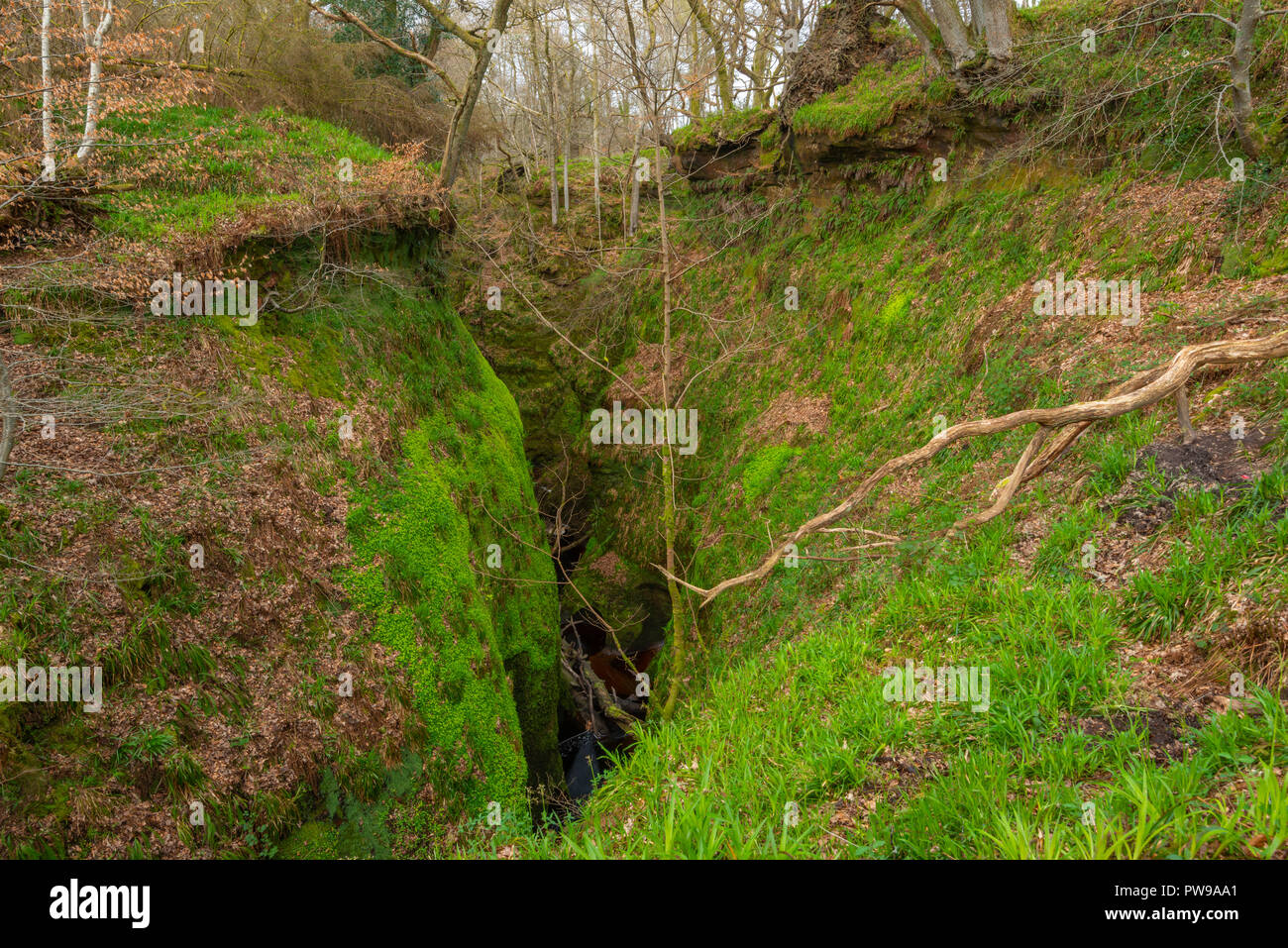 Blood red river in a green gorge. Devil's Pulpit, Finnich Glen, near ...