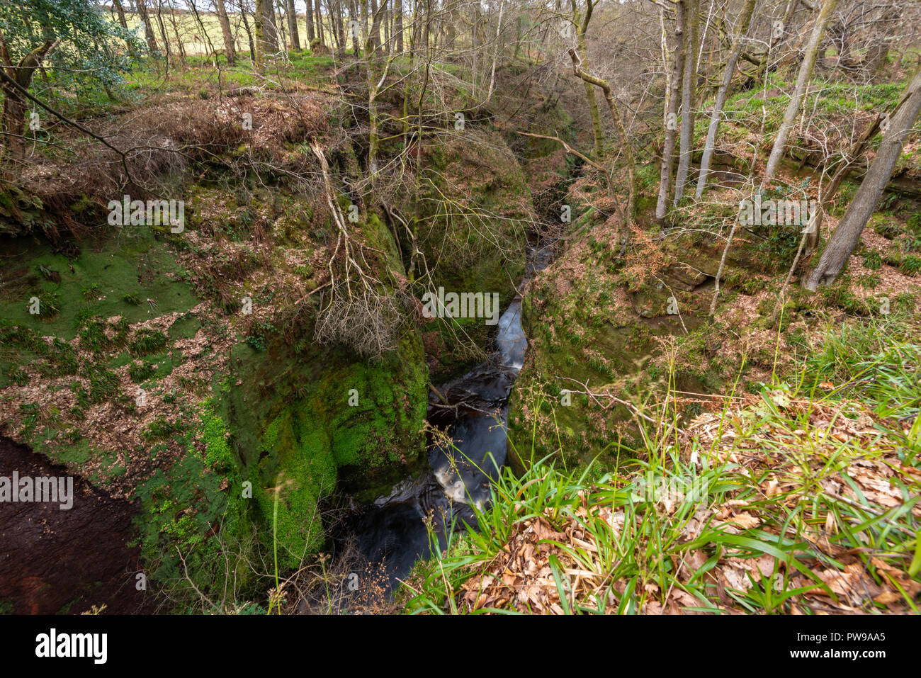Blood red river in a green gorge. Devil's Pulpit, Finnich Glen, near ...