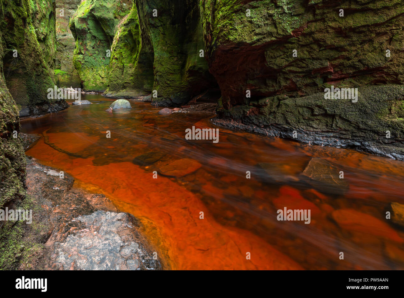 Blood red river in a green gorge. Devil's Pulpit, Finnich Glen, near ...