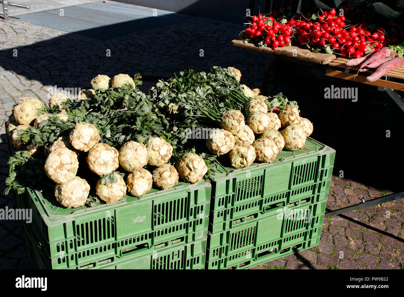 Sellerie Knolle mit grünem Kraut, auf einem Marktstand auf dem ...