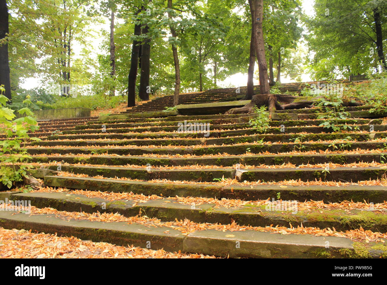 Stone Steps in a park in Berlin Germany Stock Photo - Alamy