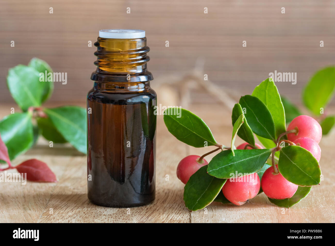 Wintergreen essential oil hi-res stock photography and images - Alamy