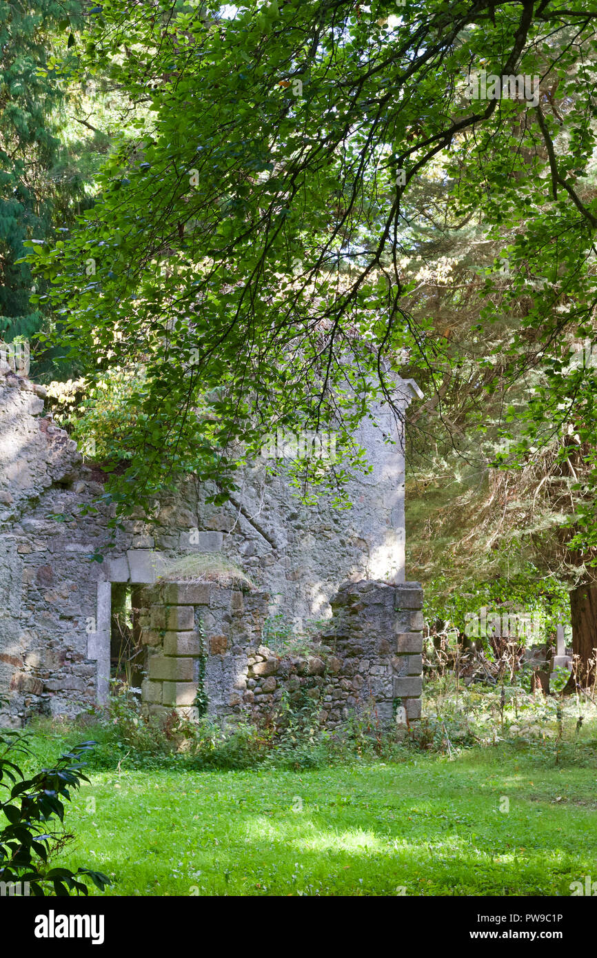 View of a centuries-old stone building ruin in a woodland setting ...