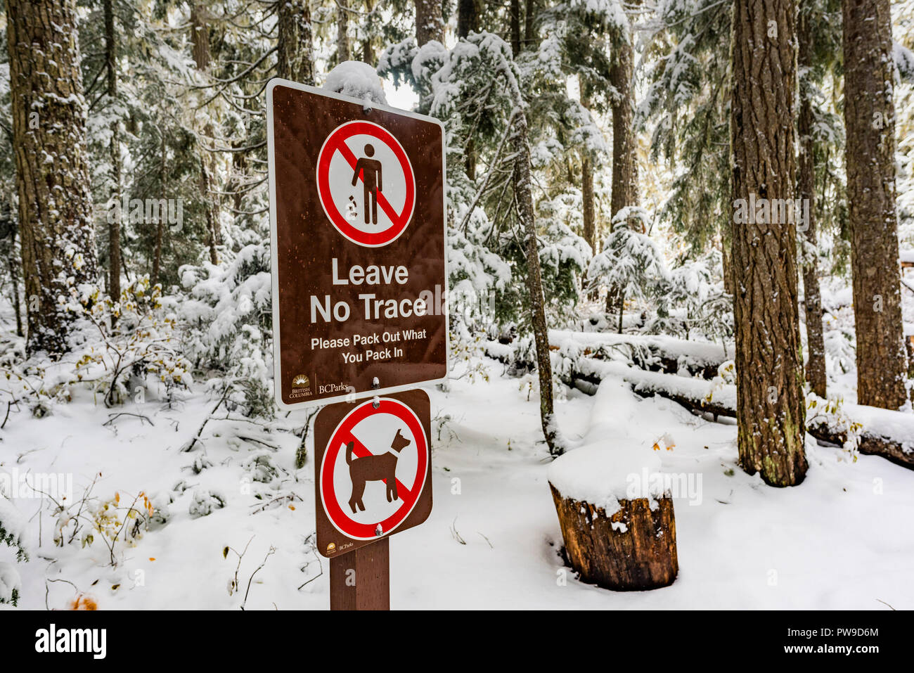 Leave no trace hi-res stock photography and images - Alamy