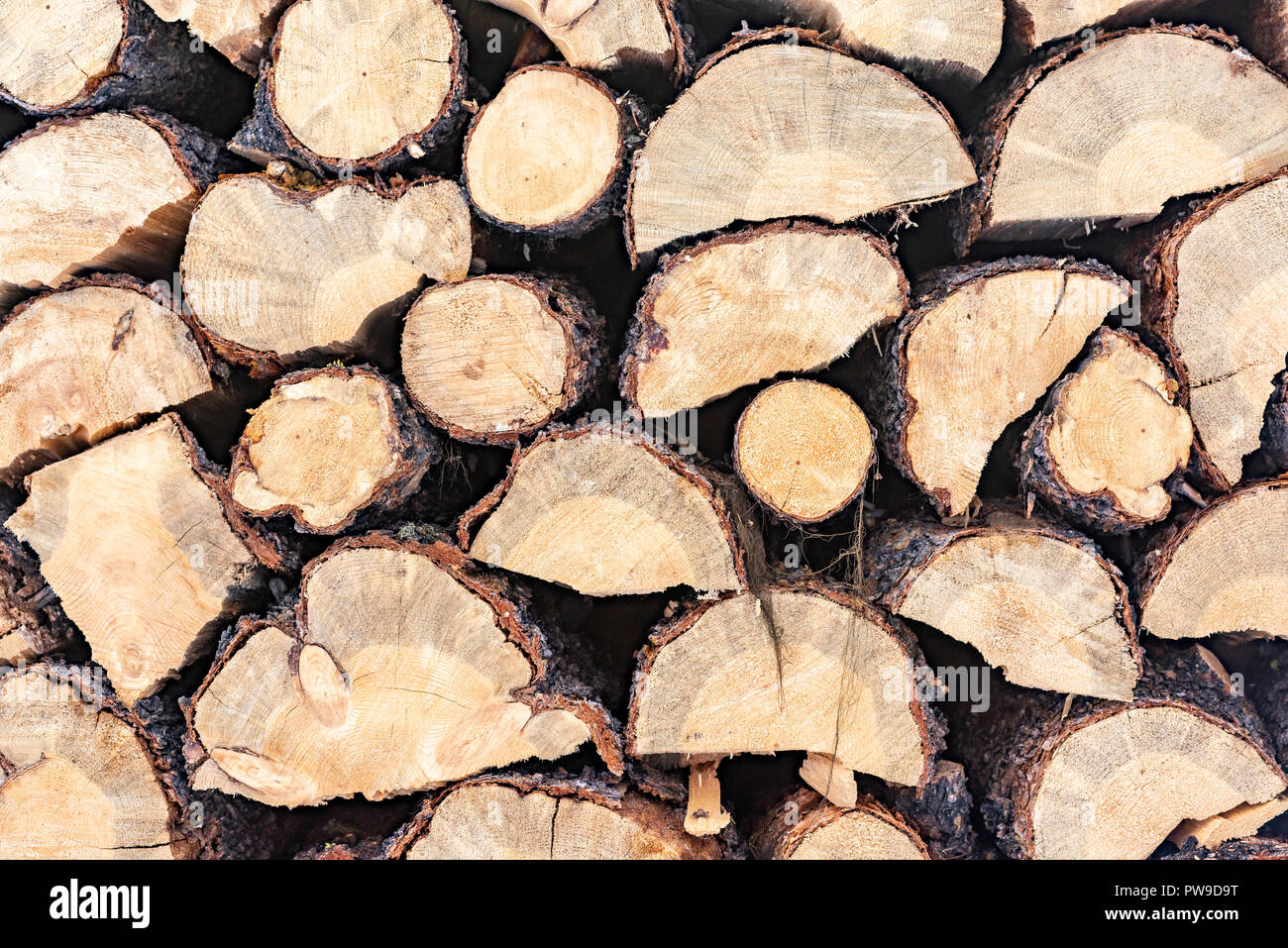 Stacked firewood hi-res stock photography and images - Alamy
