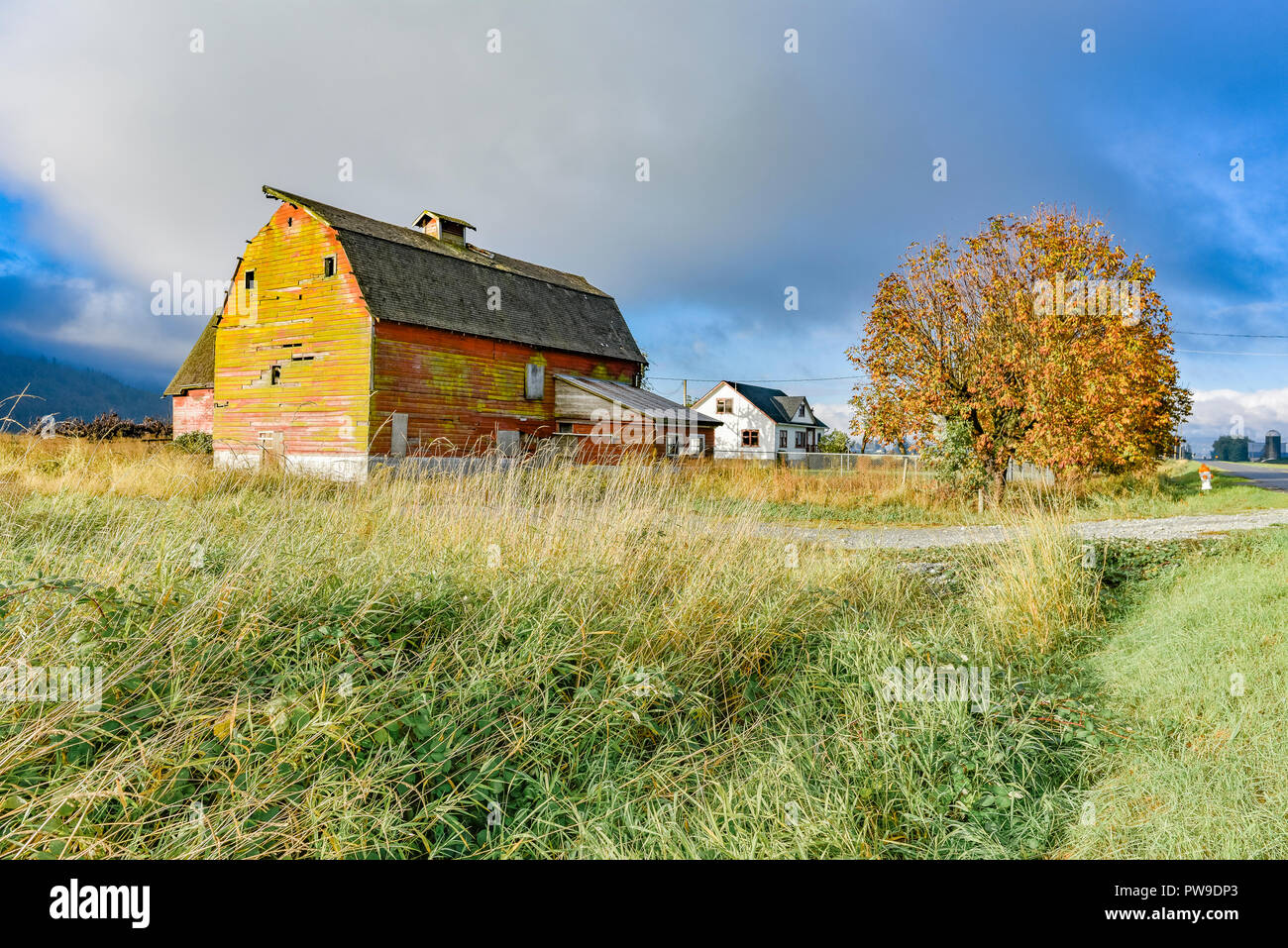 Farm buildings, Fraser Valley, Abbotsford, British Columbia, Canada ...