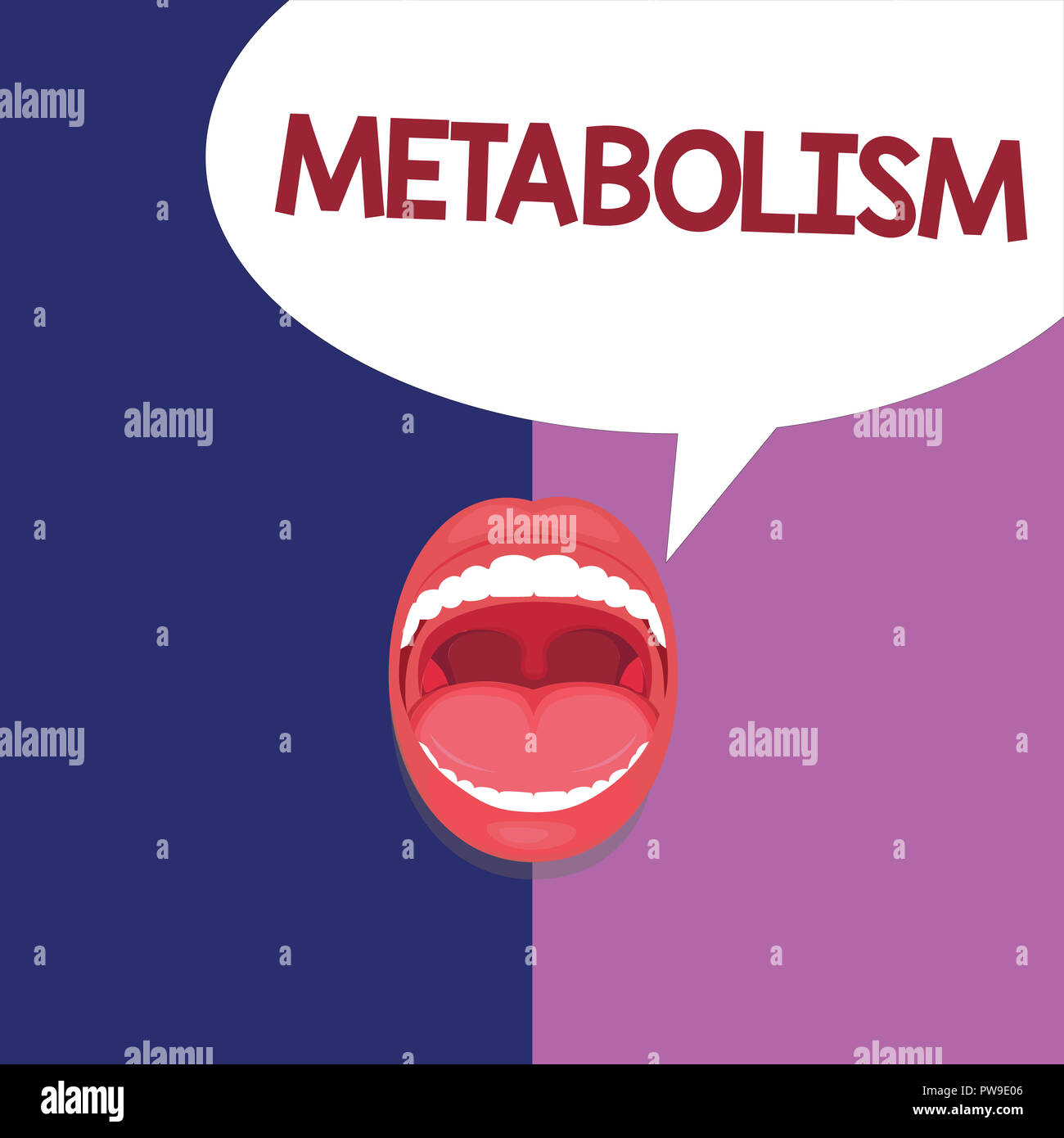 Metabolism processes hi-res stock photography and images - Alamy
