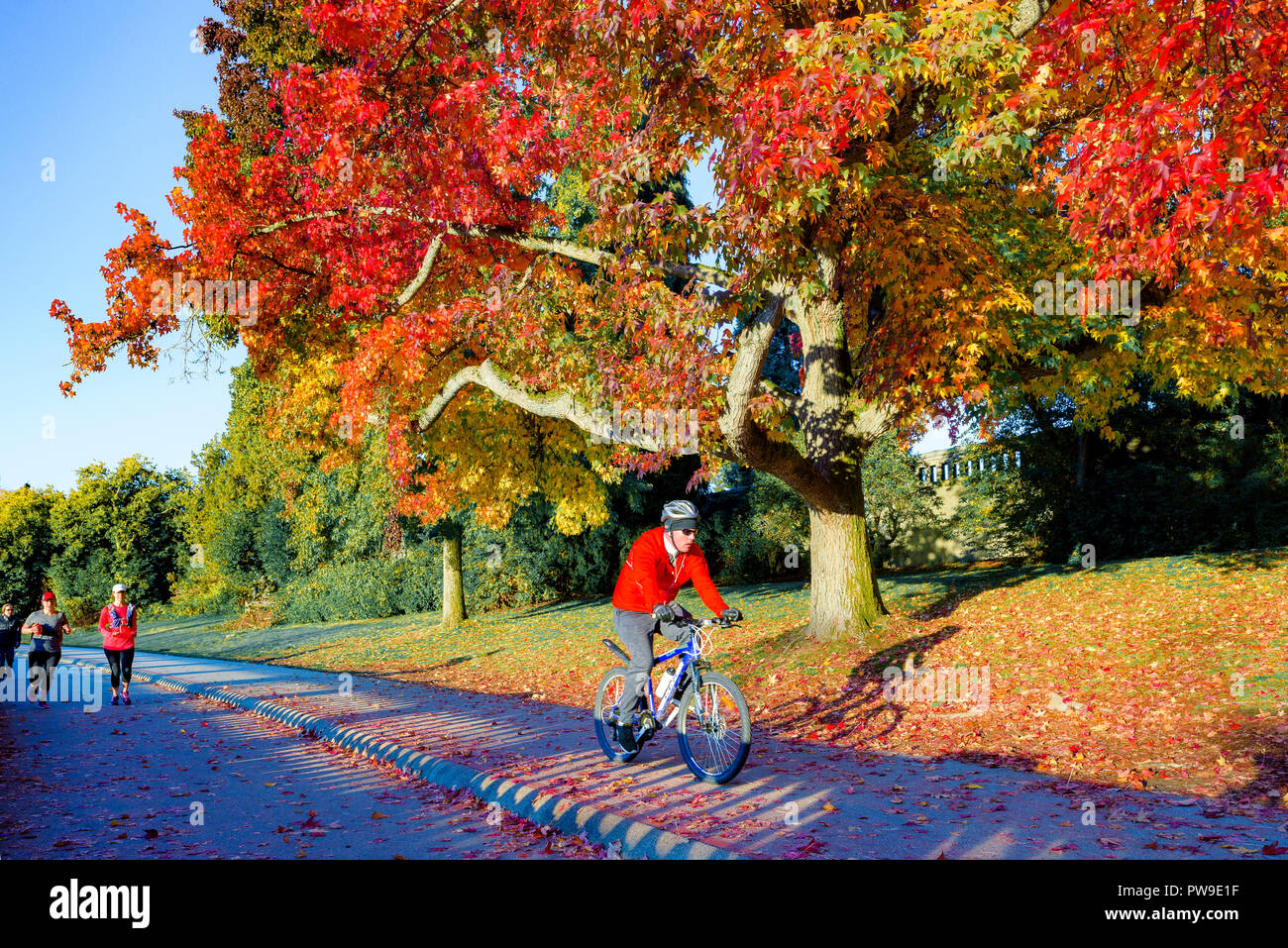Stanley park and vancouver and joggers hi-res stock photography and ...