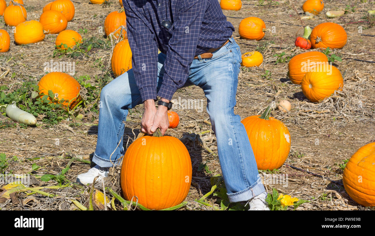 Miss halloween hi-res stock photography and images - Alamy