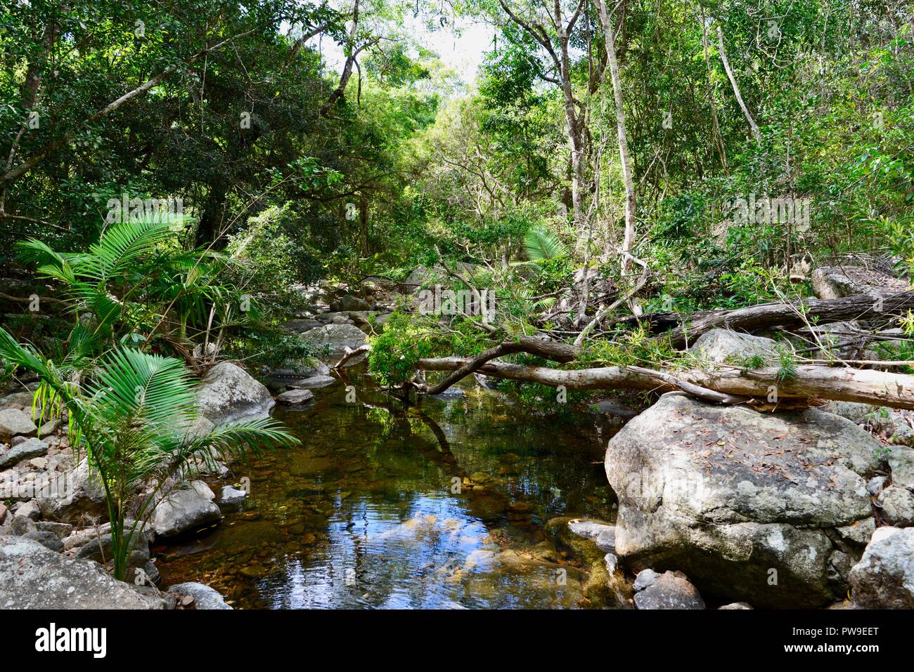 Upper stretches of Rollingstone River, Paluma range national park ...