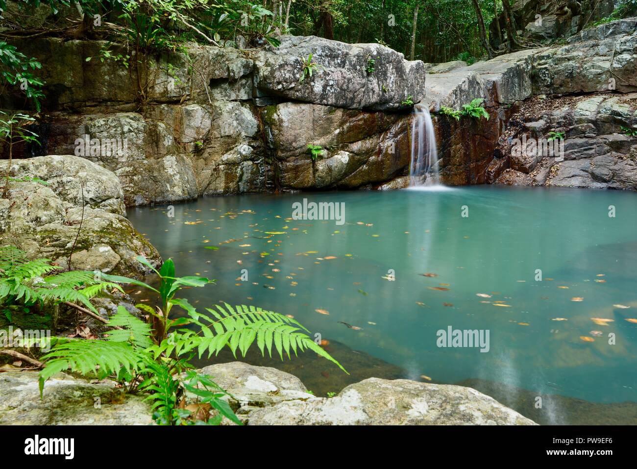 Rope falls in Paluma range national park, Queensland, Australia Stock ...