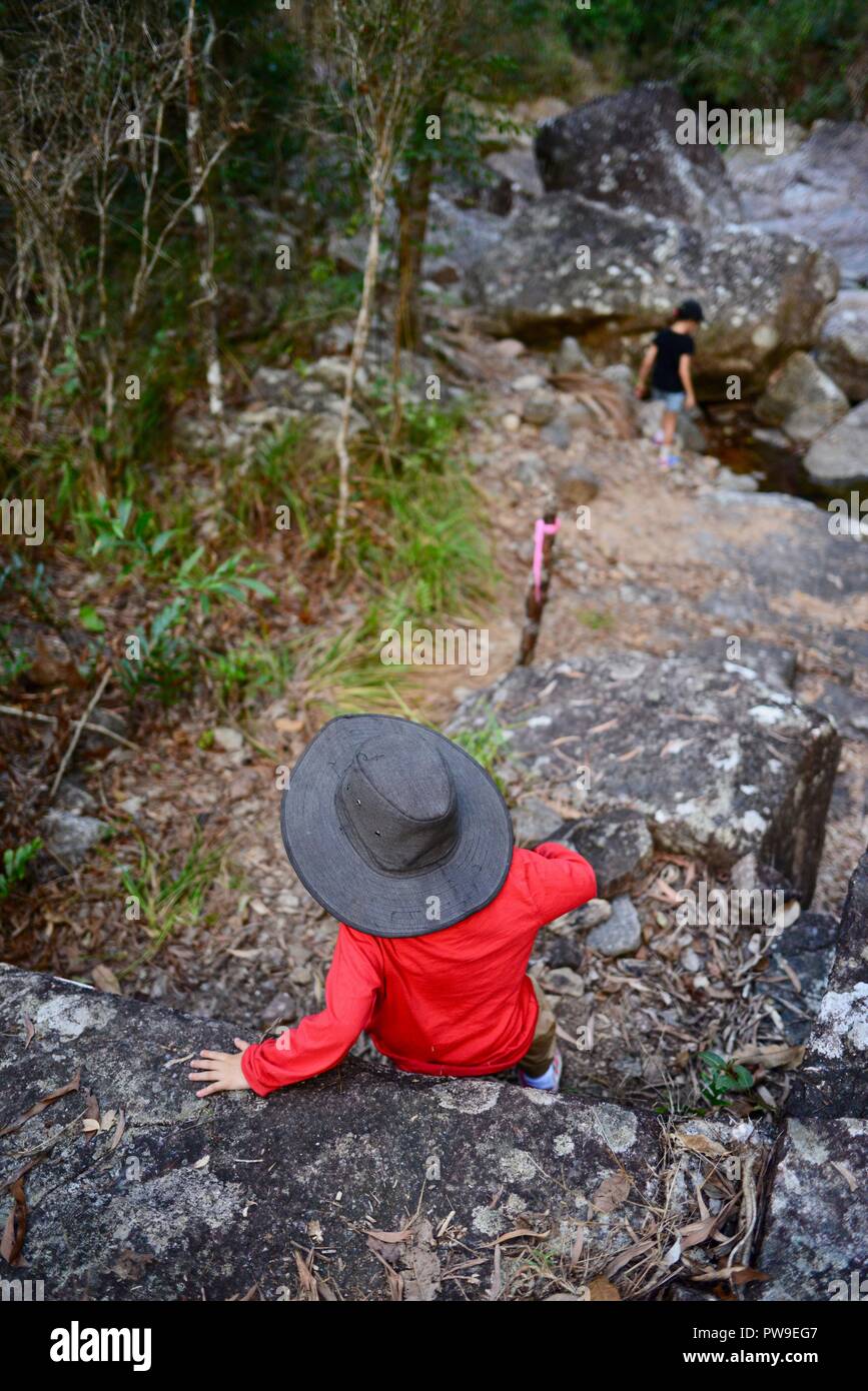 A child walking to Rope falls, a child walking through a forest, Paluma ...