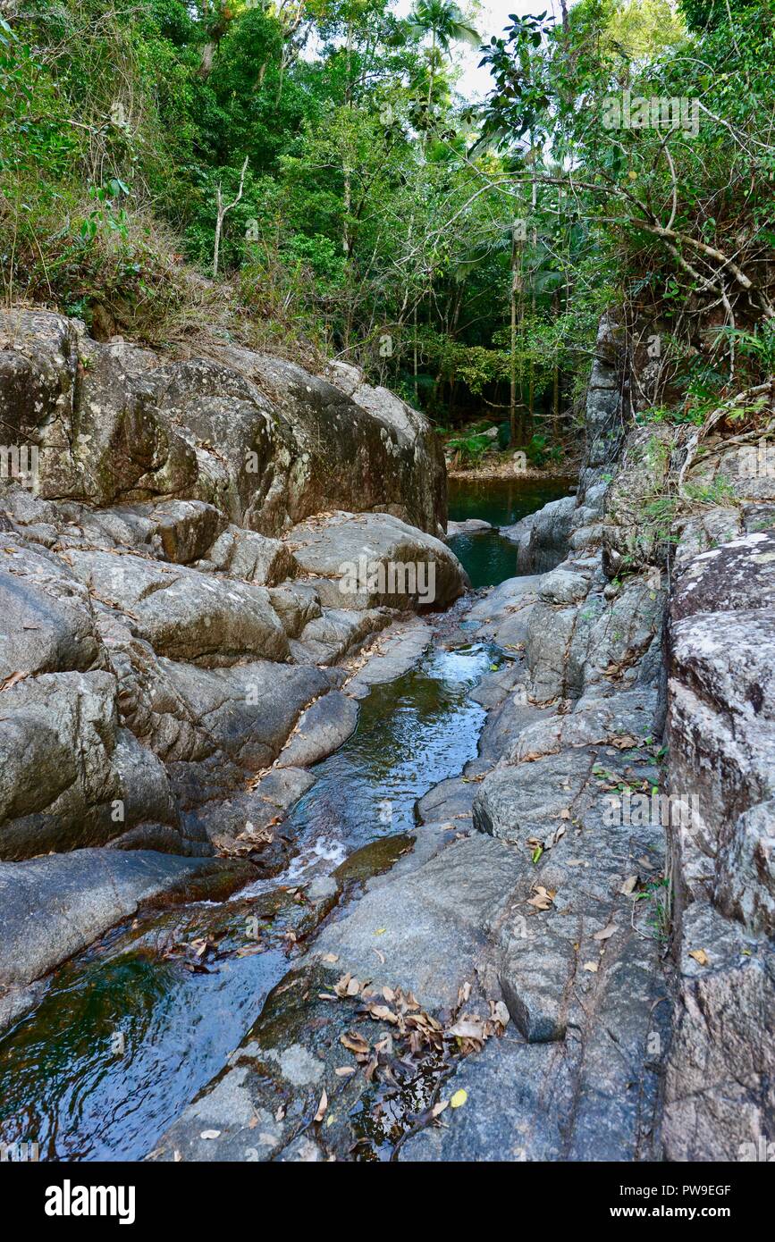 Upper stretches of Rollingstone River, Paluma range national park ...