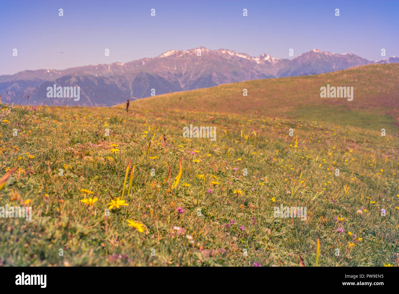 View of mountains in the highlands of Artvin in Turkey Stock Photo - Alamy