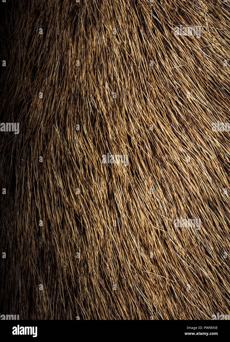 Decorative animal fur as a background texture Stock Photo - Alamy