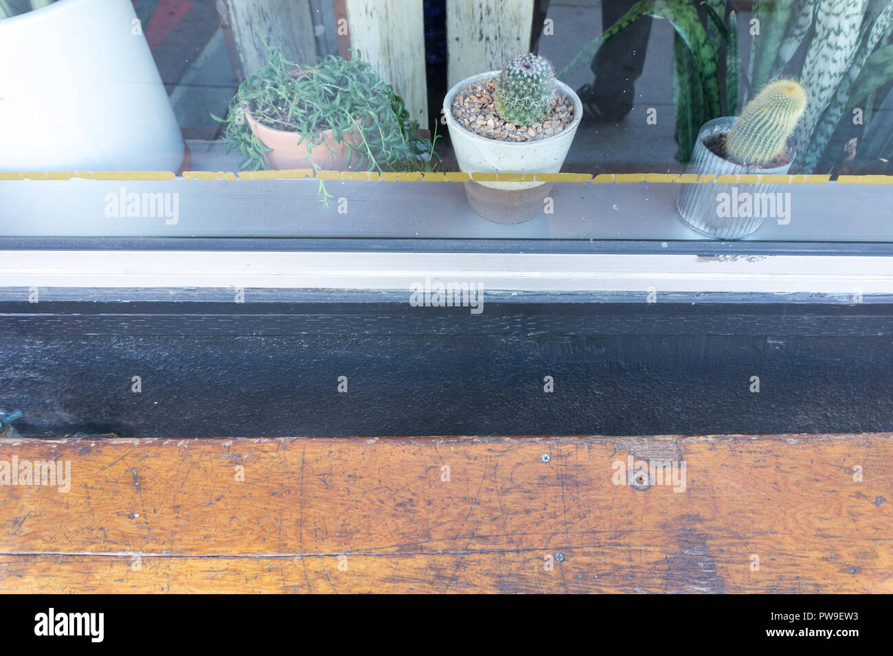 Pretty Cacti on window sill seen through window Stock Photo - Alamy