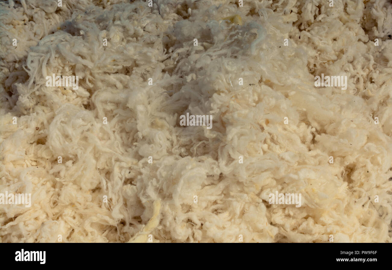 Heap of wool as a texture background Stock Photo - Alamy