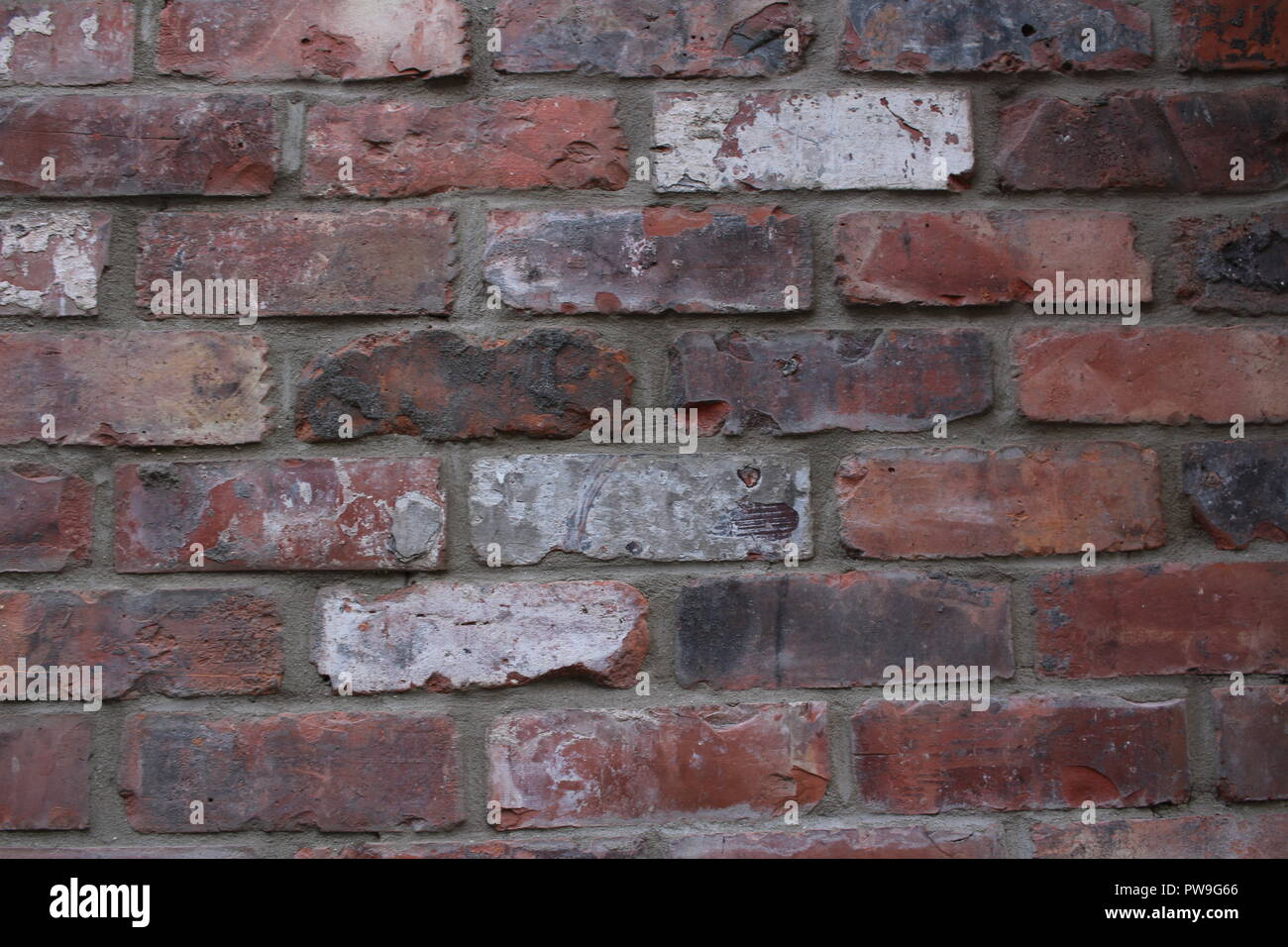 Background of vintage red and white brick wall Stock Photo - Alamy