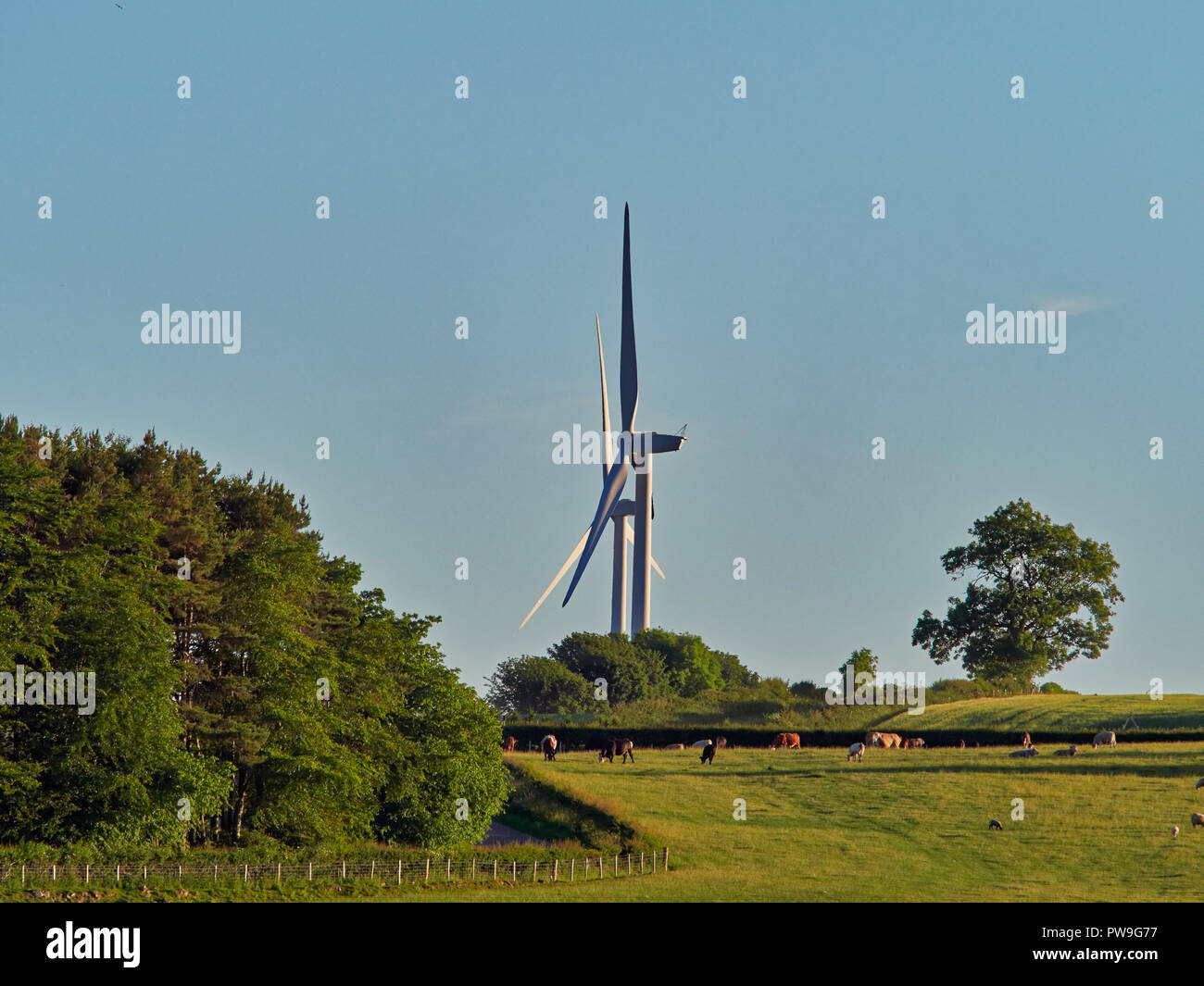 Wind turbines above farm fields in northumberland hi-res stock ...