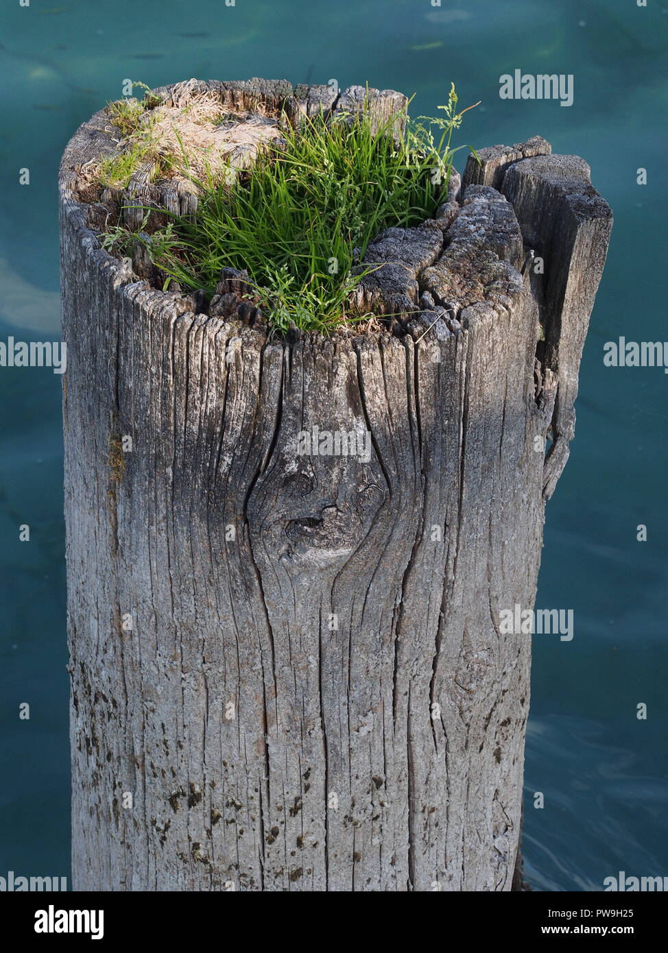 Wooden bollards hi-res stock photography and images - Alamy