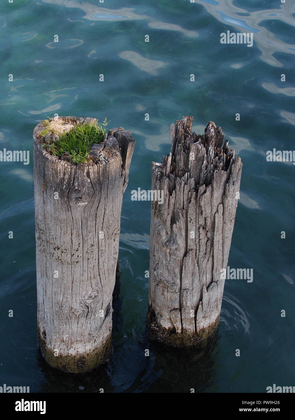 Wooden bollards hi-res stock photography and images - Alamy
