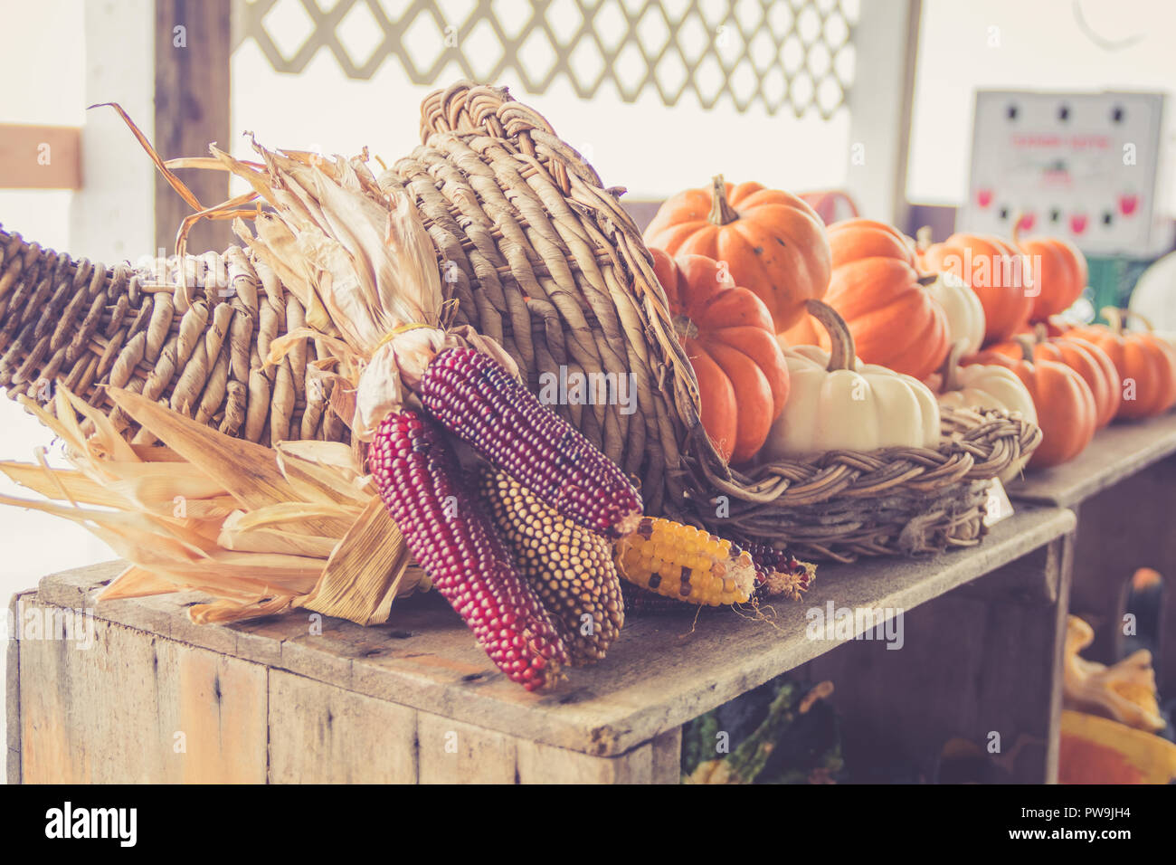 Cornucopia of pumpkins displayed attractively at a farmer's market for ...