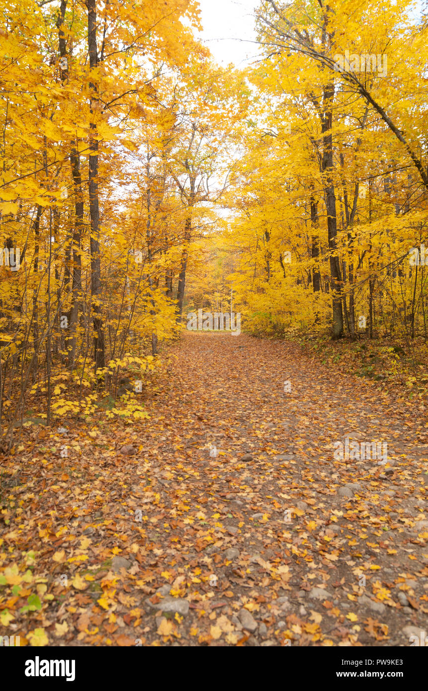 Hiking the Eagle Nest Lookout Trail in Calabogie Ontario Stock Photo ...