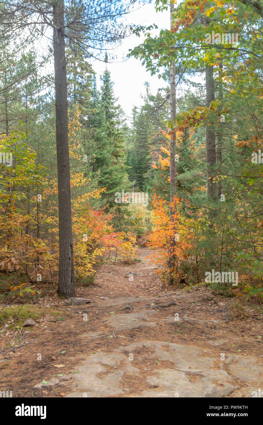 Hiking the Eagle Nest Lookout Trail in Calabogie Ontario Stock Photo ...