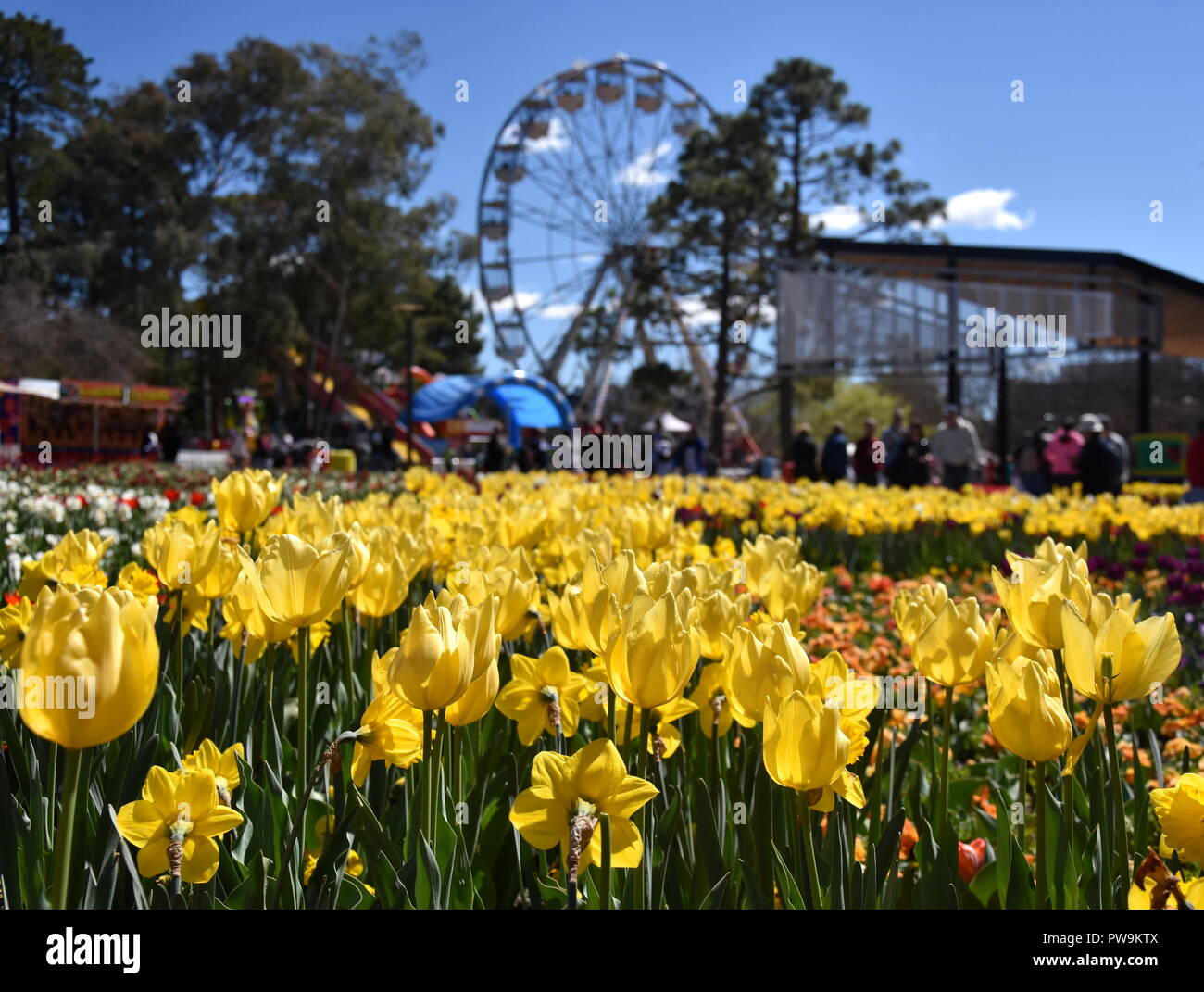 Floriade spring hi-res stock photography and images - Alamy