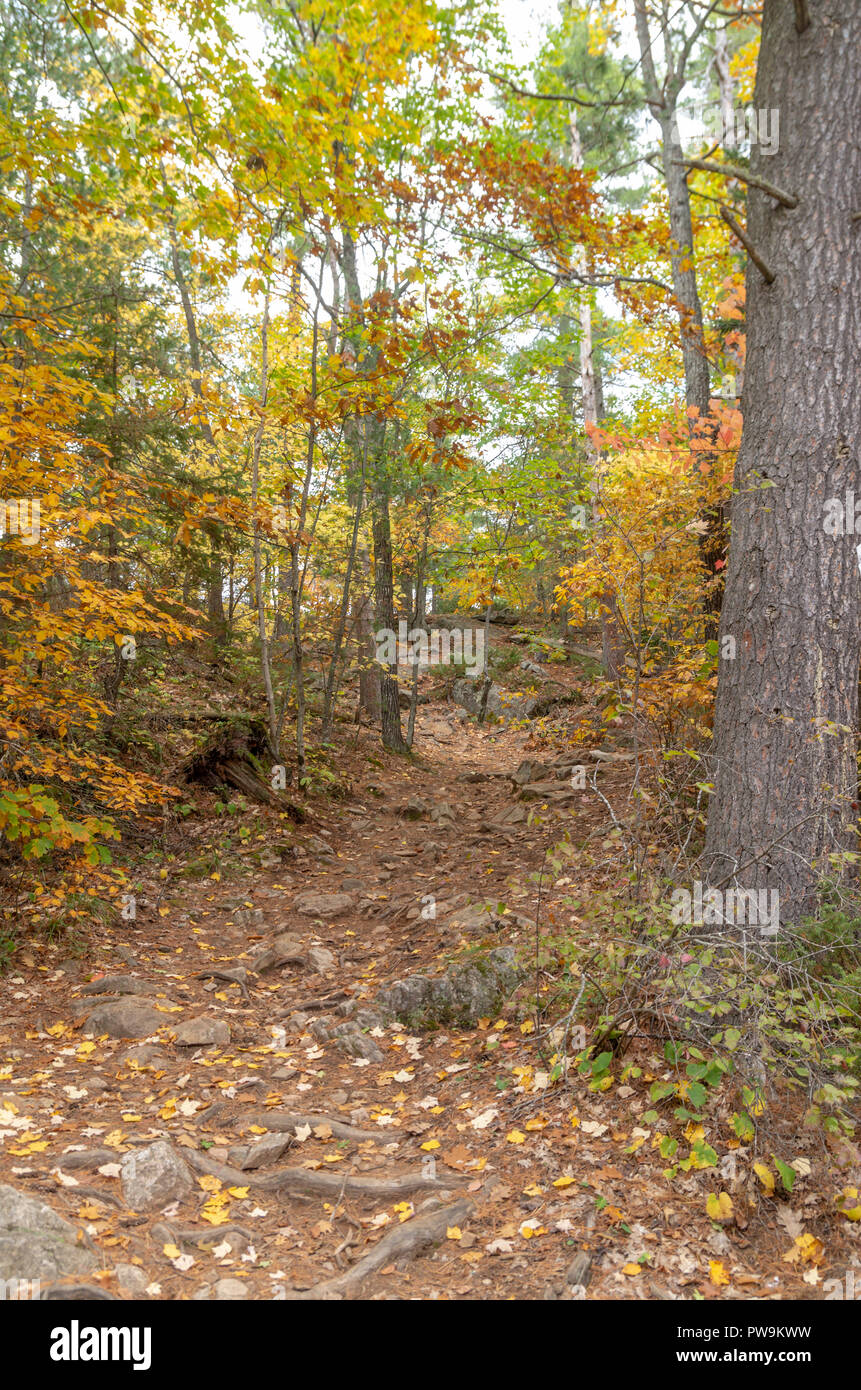 Hiking the Eagle Nest Lookout Trail in Calabogie Ontario Stock Photo ...