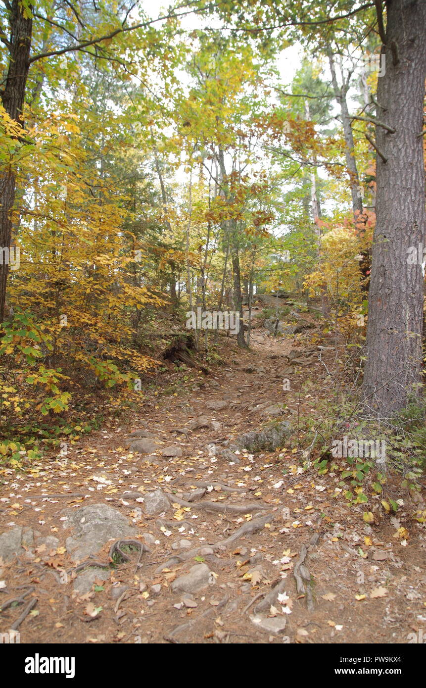 Hiking the Eagle Nest Lookout Trail in Calabogie Ontario Stock Photo ...