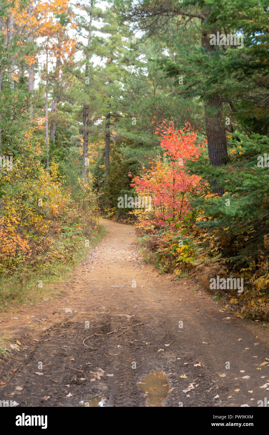 Hiking the Eagle Nest Lookout Trail in Calabogie Ontario Stock Photo ...