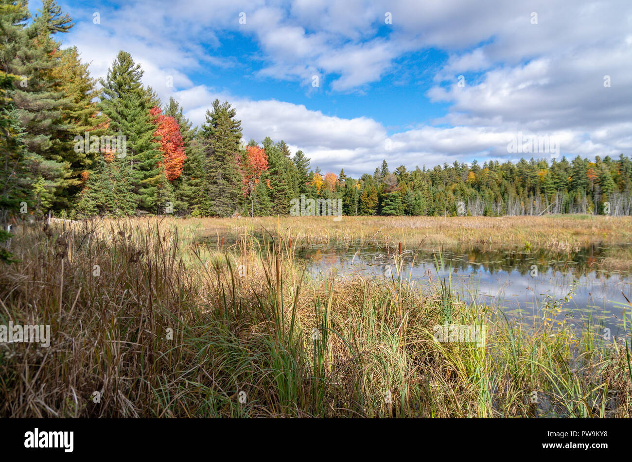 Calabogie ontario hi-res stock photography and images - Alamy
