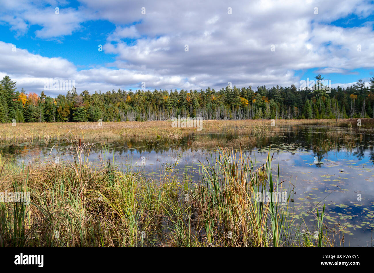 Hiking the Eagle Nest Lookout Trail in Calabogie Ontario Stock Photo ...