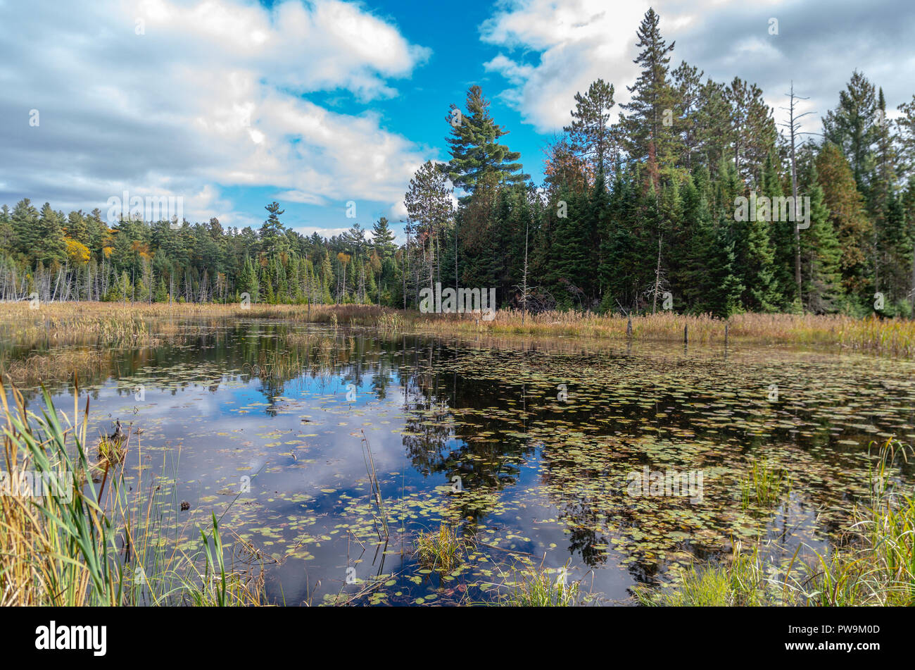 Hiking the Eagle Nest Lookout Trail in Calabogie Ontario Stock Photo ...