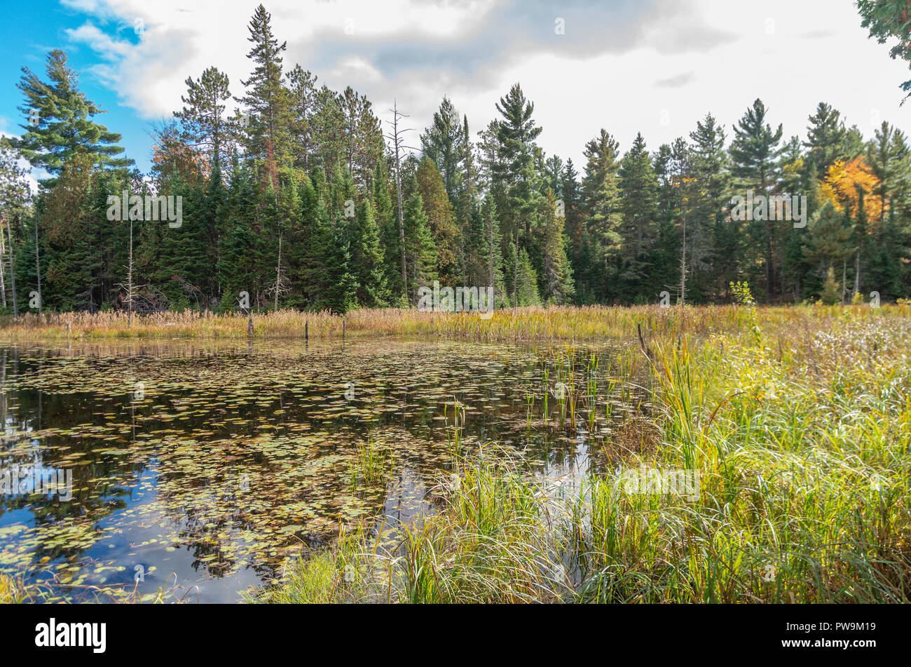 Hiking the Eagle Nest Lookout Trail in Calabogie Ontario Stock Photo ...