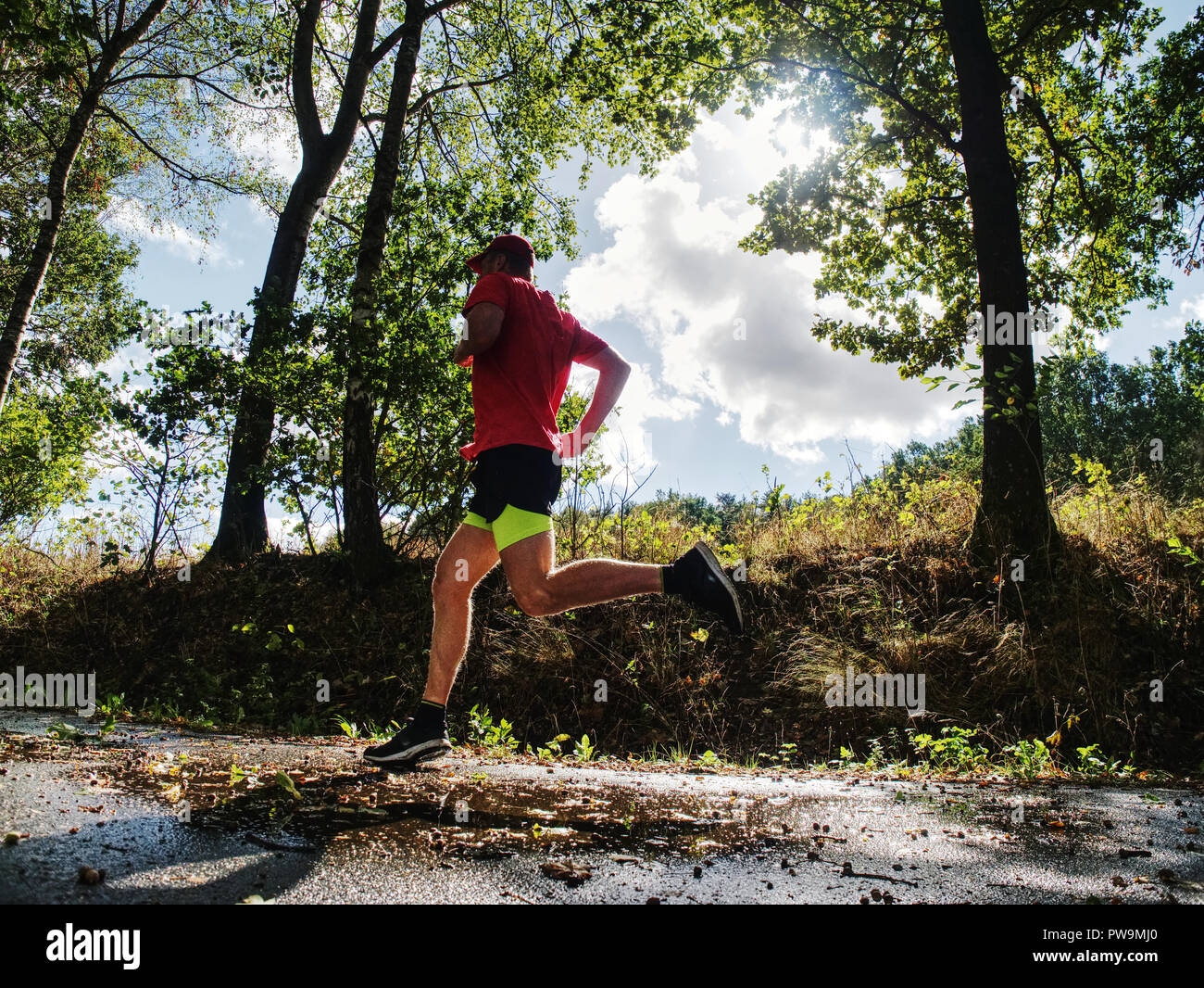 Recreation run during a sports activities in the open air forest ...