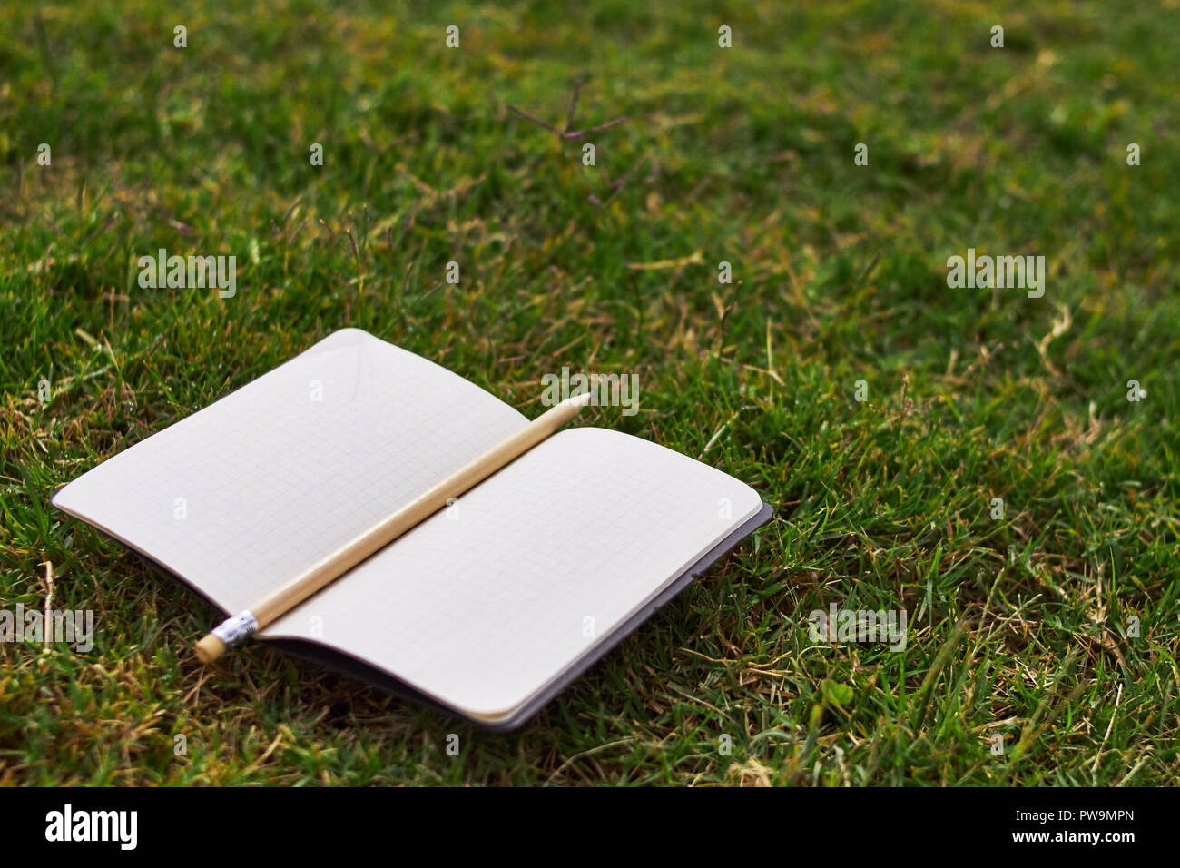 Portrait study in pencil hi-res stock photography and images - Alamy